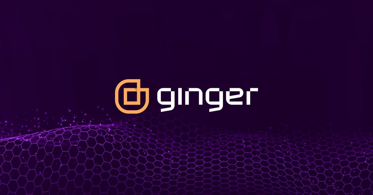 Ginger IT - Full Service Digital Agency